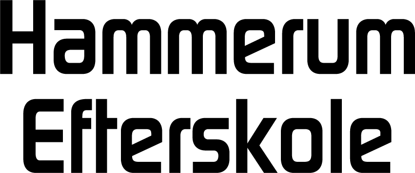 Hammerum Efterskole
